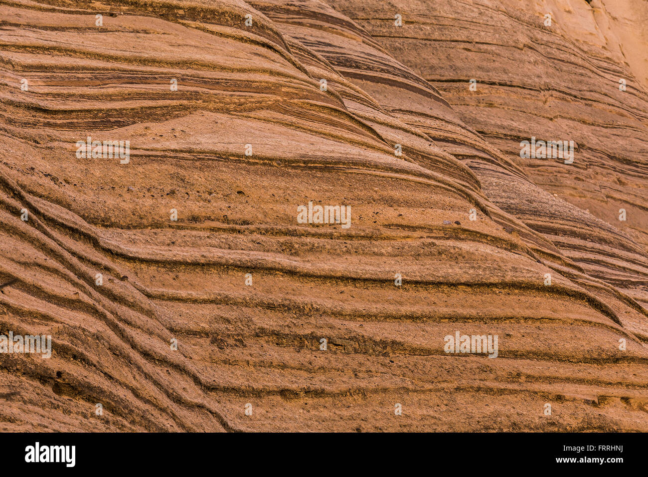 Cross-bedded layers of Peralta Tuff along the Slot Canyon Trail at ...