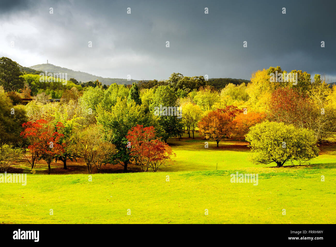 Beautiful autumn scene with colourful trees under the rain and sun ...