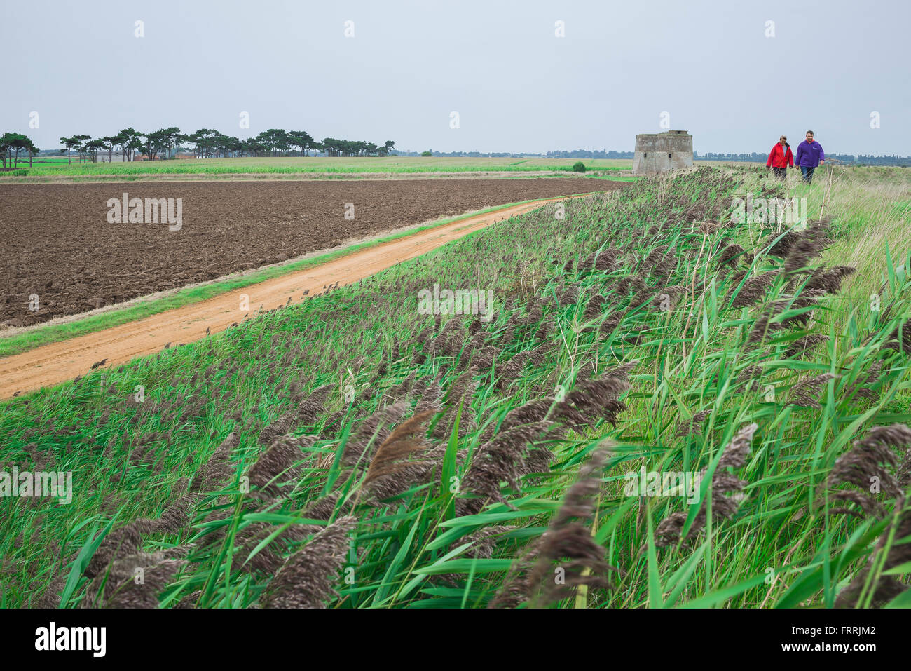 Couple walking countryside, view of a middle aged couple walking along ...