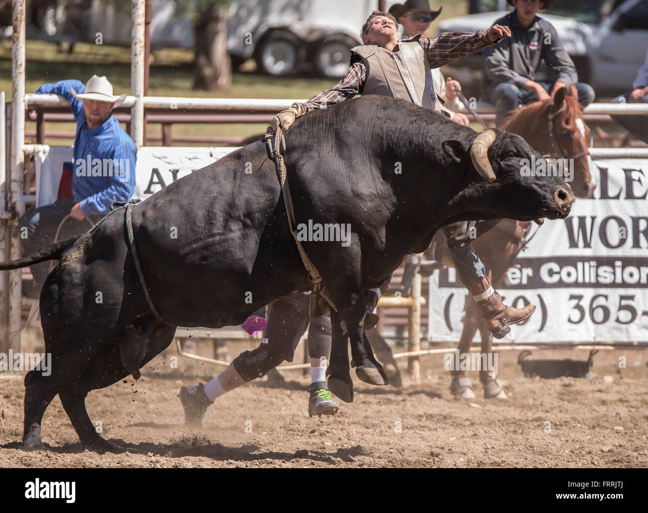 Bull rider in action at the Cottonwood, California Rodeo Stock Photo ...