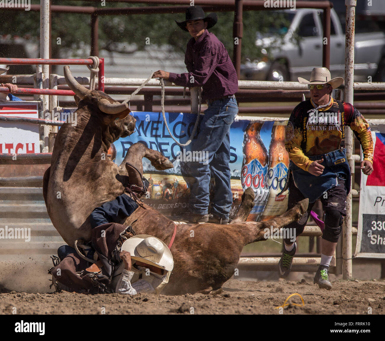 Bull rider in action at the Cottonwood, California Rodeo Stock Photo ...