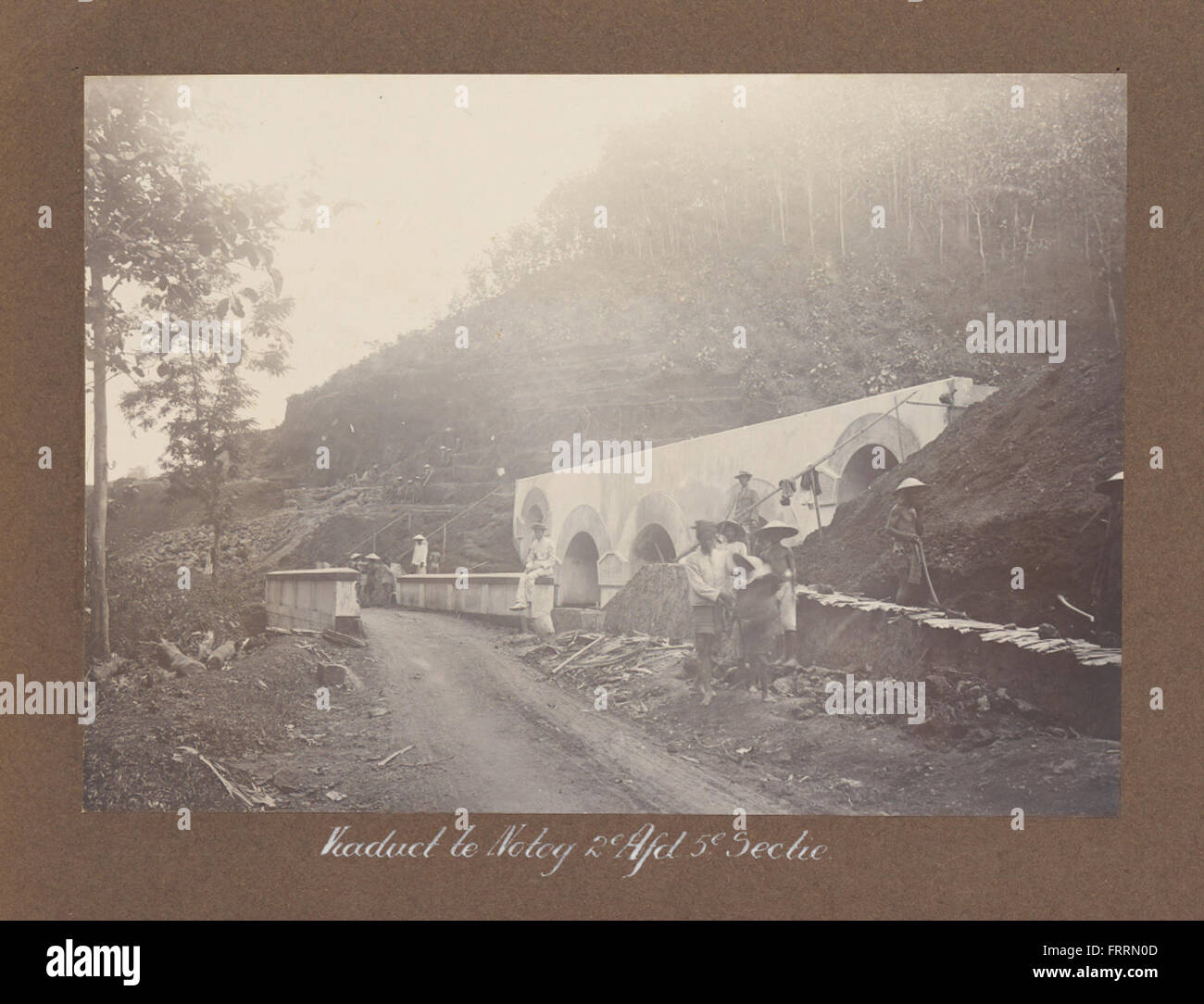 Notog hi-res stock photography and images - Alamy