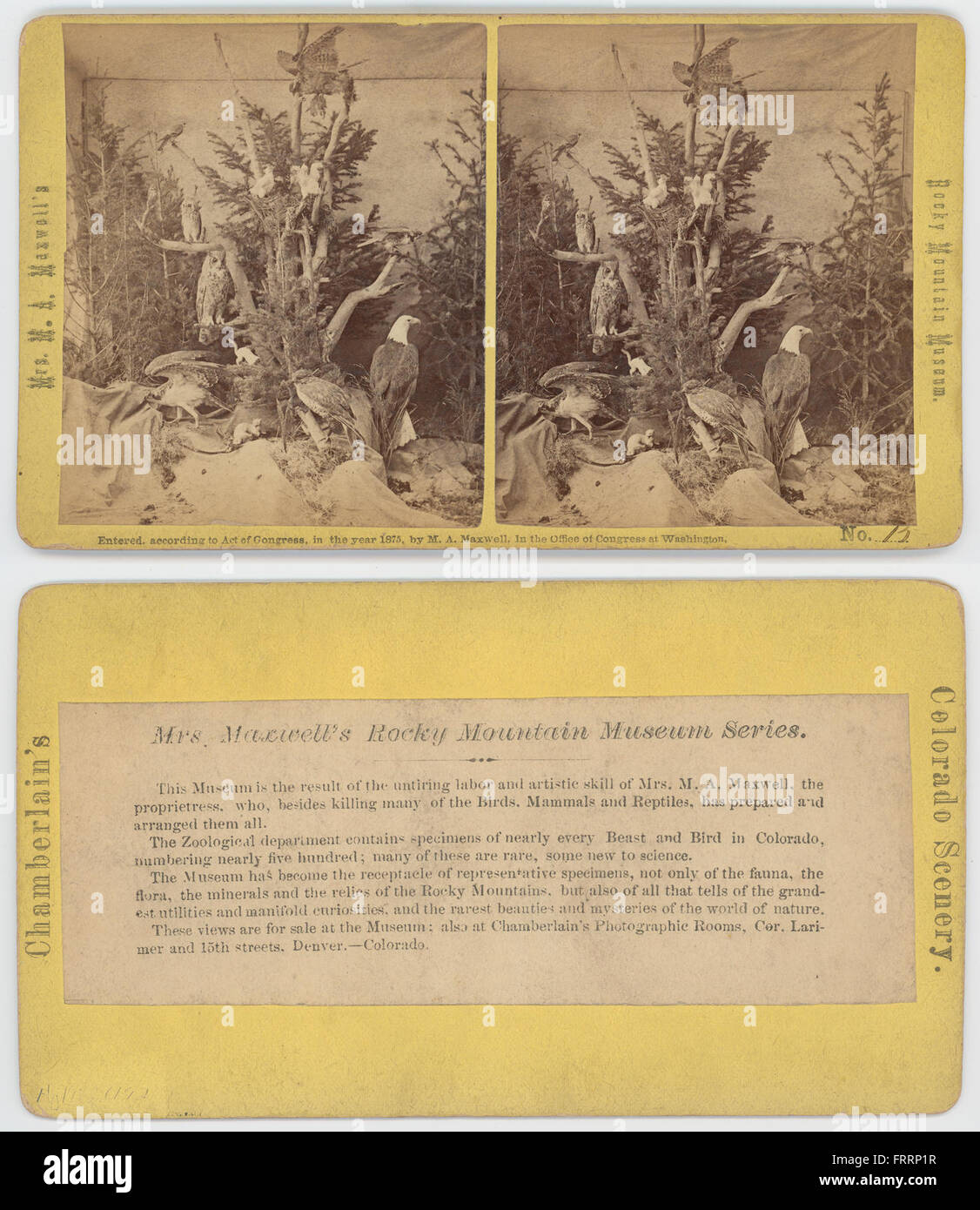 Mrs m a maxwell hi-res stock photography and images - Alamy