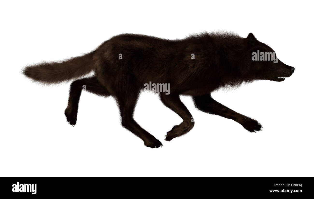 Running Black Wolf