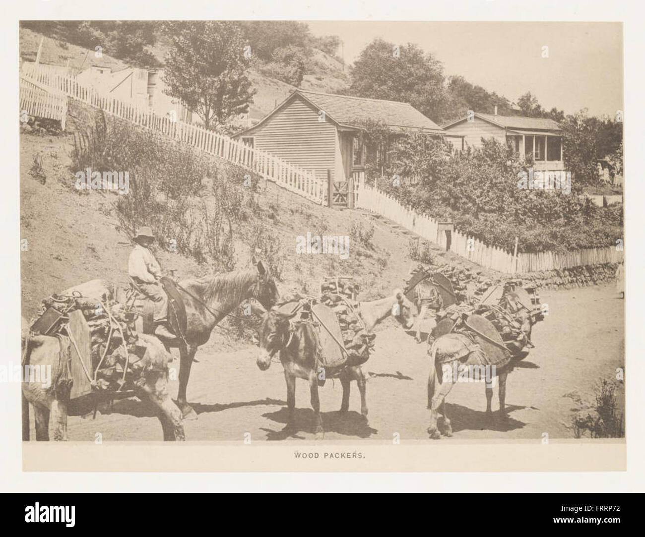 The photograph shows a group of wood packers, likely involved in the ...