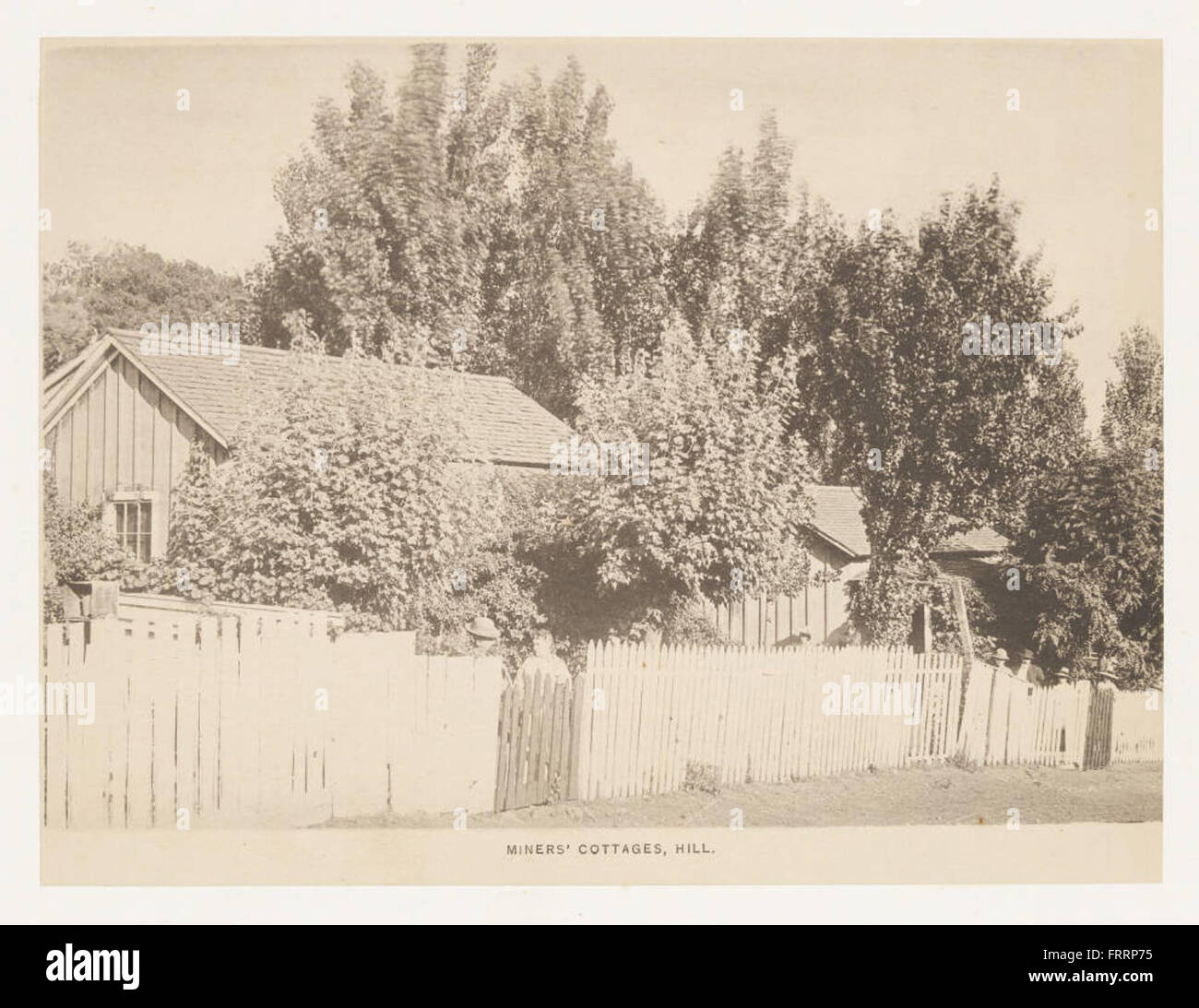 A photograph of miners' cottages located on a hill, showing the simple ...