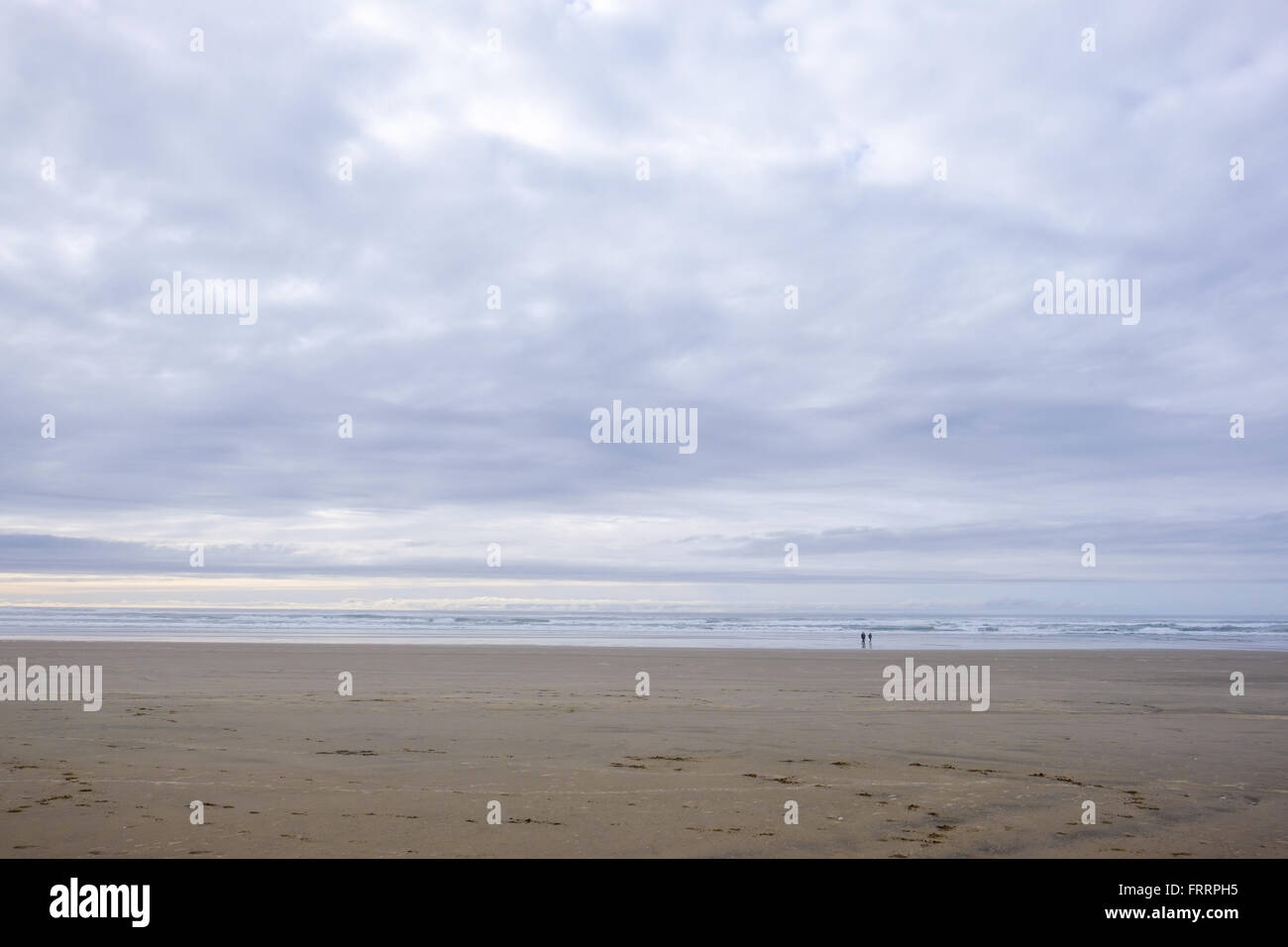 Large beach at low tide on the Oregon Coast showing the coastline with ...