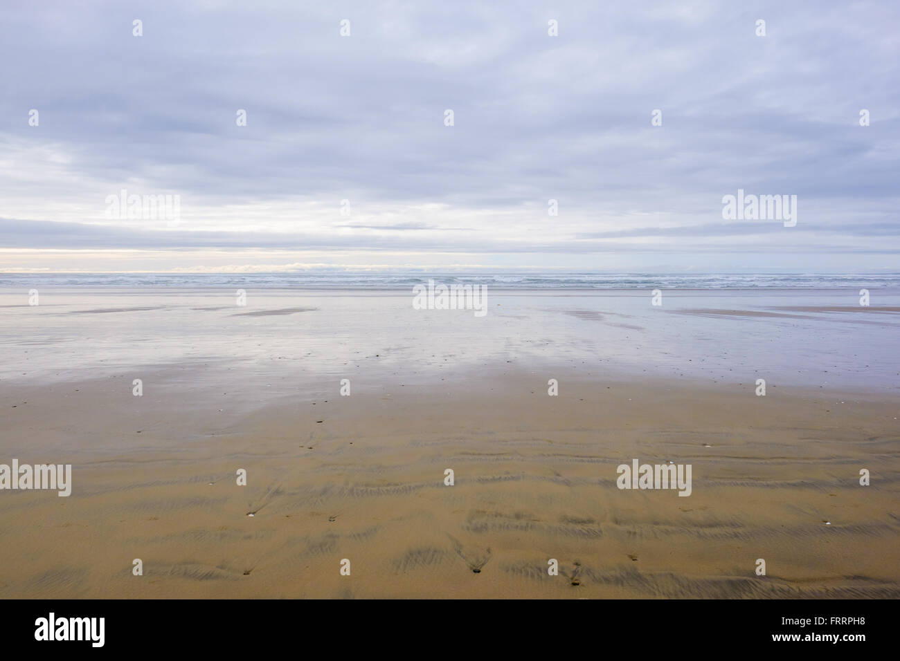 Large beach at low tide on the Oregon Coast showing the coastline with ...