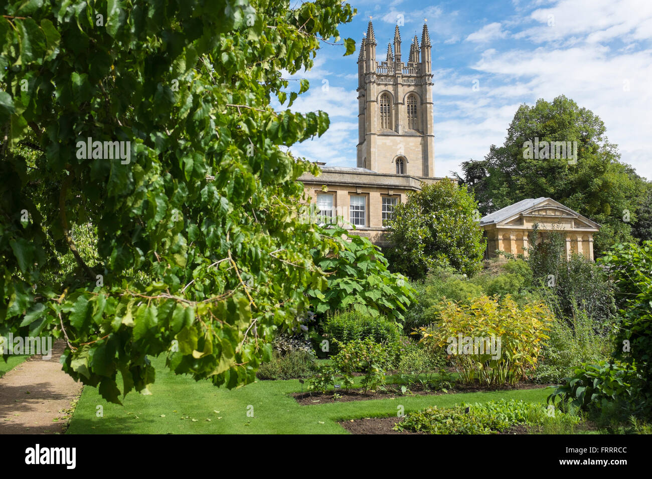 The bell tower of Magdalen College and botanical garden, Oxford ...