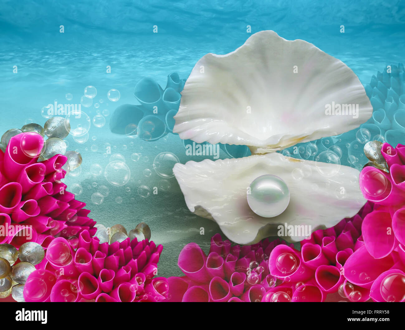 Pearls In Shell Wallpaper