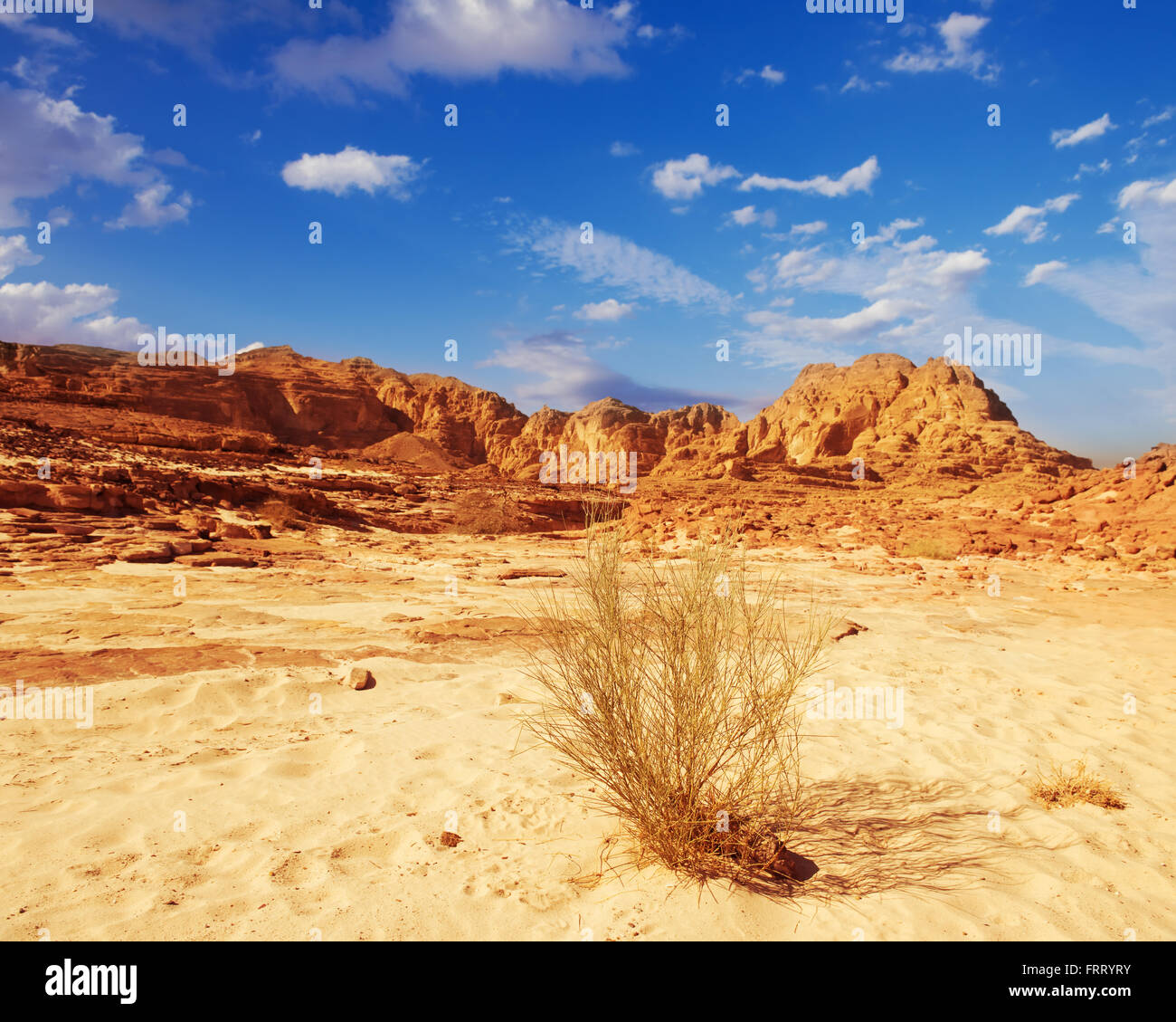 Sinai desert landscape Stock Photo - Alamy