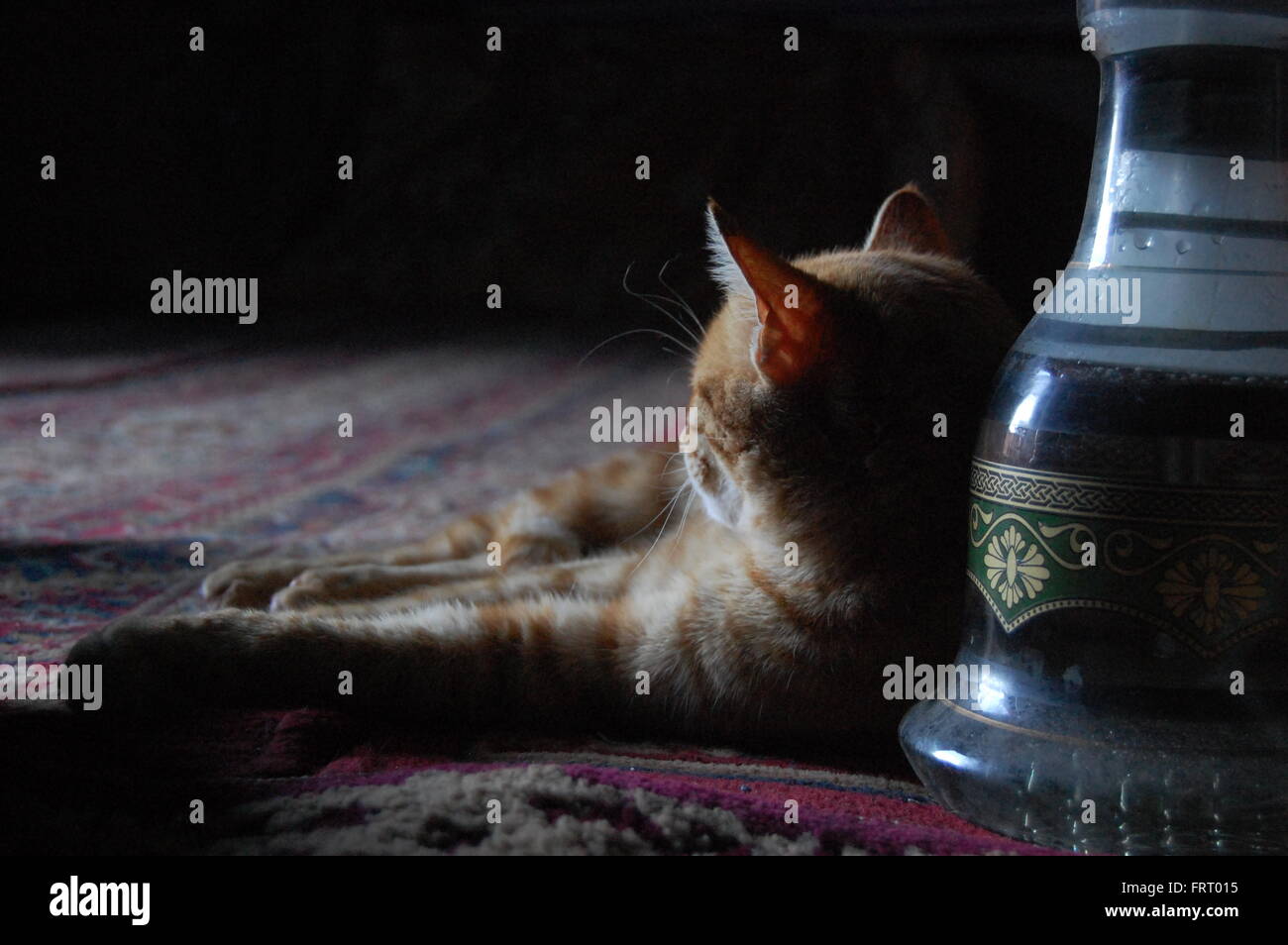 Bedouin sleeping in tent hi-res stock photography and images - Alamy