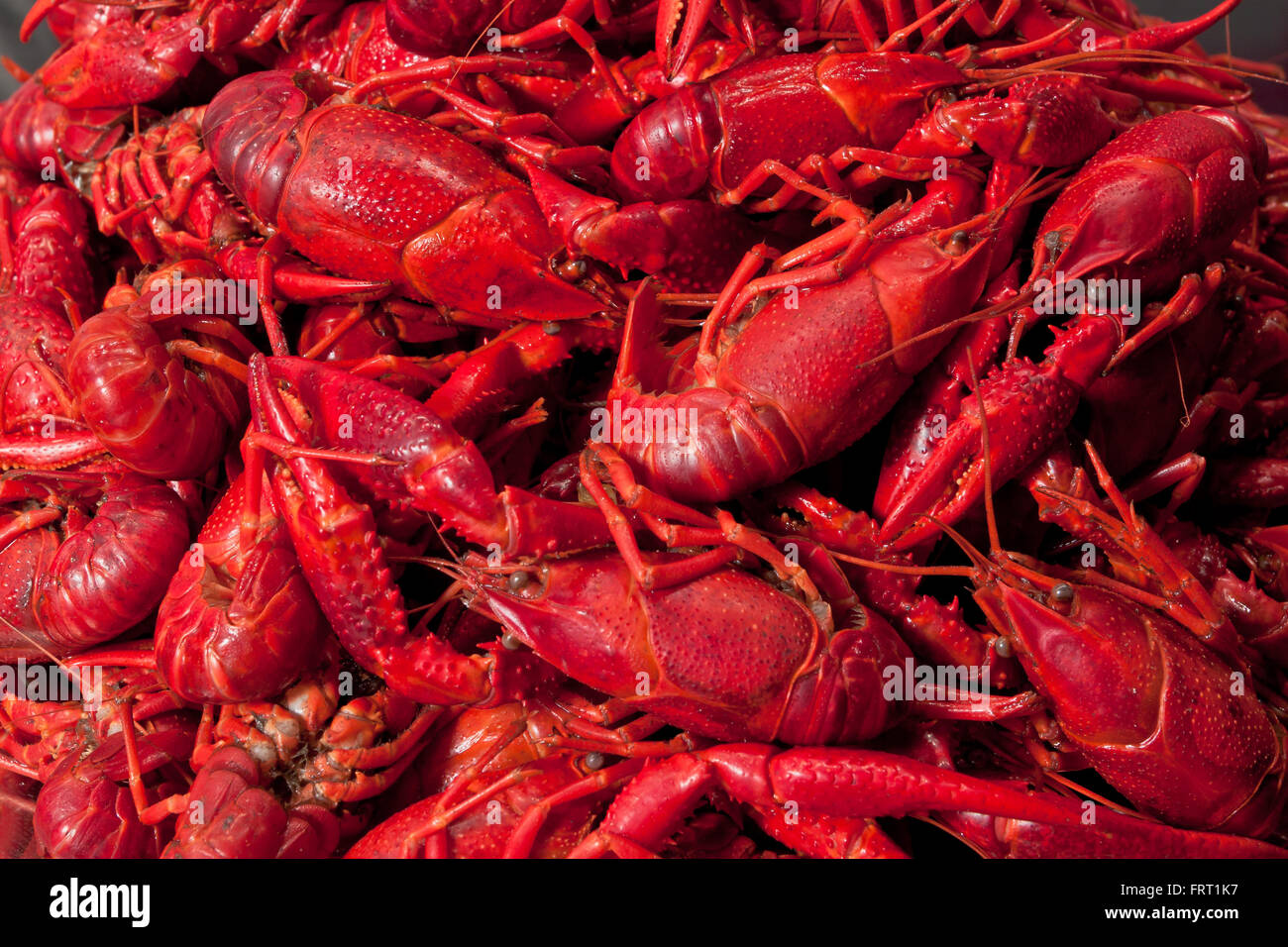 Pile crawfish hi-res stock photography and images - Alamy