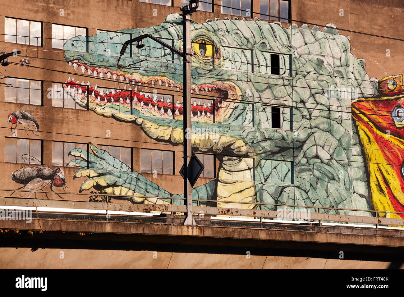 Painted lizard on and old warehouse. Train line. Horizontal Stock Photo ...