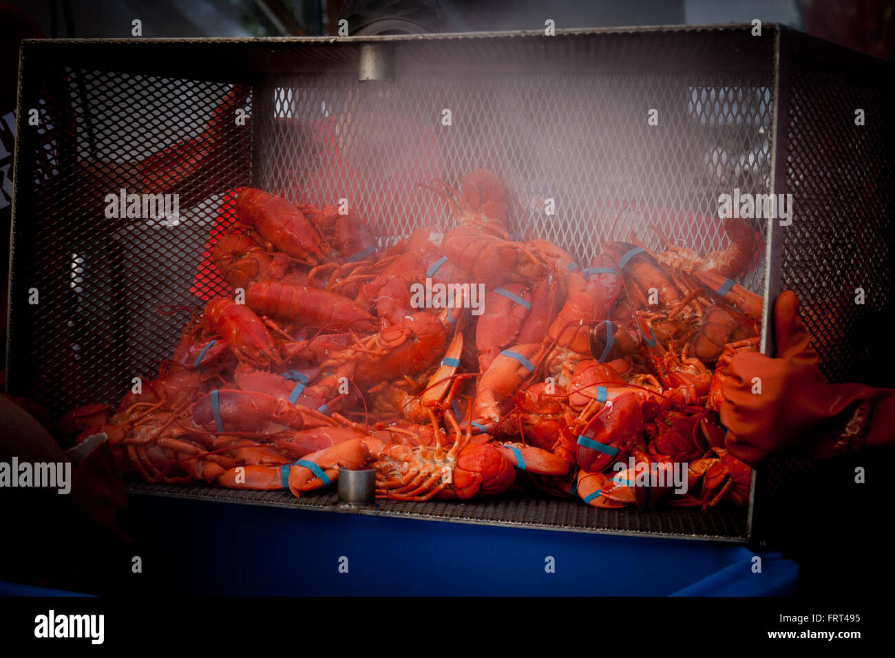 Lobster boil hi-res stock photography and images - Alamy