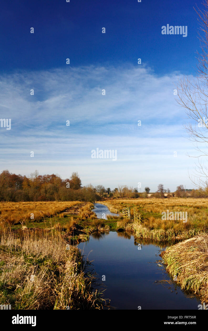 Chedgrave High Resolution Stock Photography and Images - Alamy