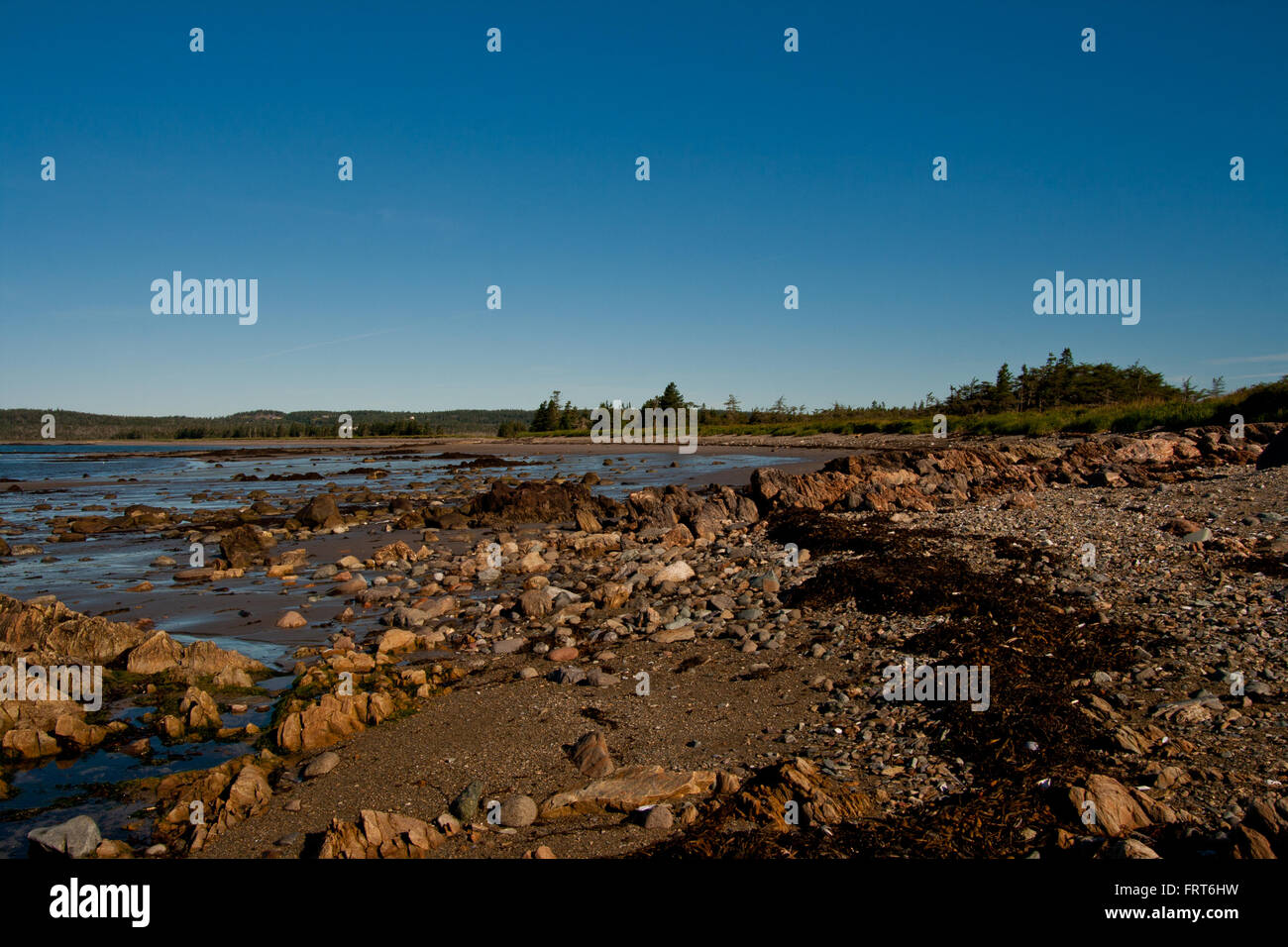 Pond bay hi-res stock photography and images - Alamy