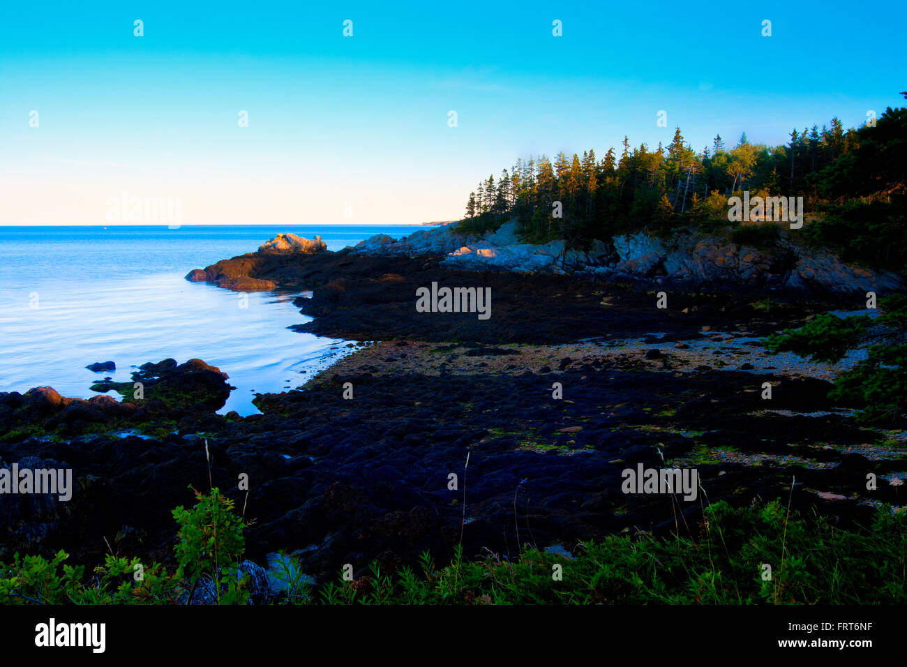 Receding Coast High Resolution Stock Photography and Images - Alamy