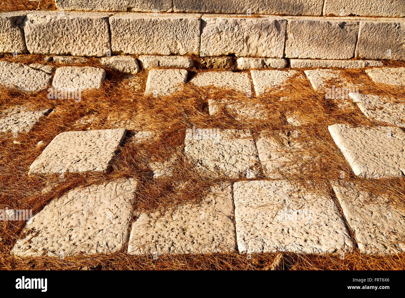 pine needles in arykanda antalya turkey asia and ruins Stock Photo - Alamy
