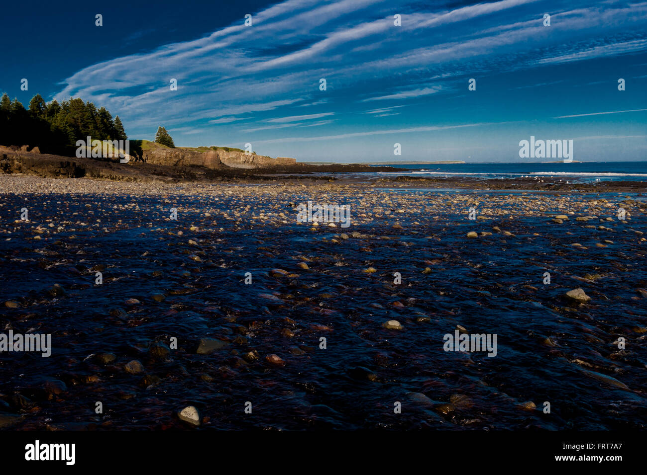 The seabed of the Bay of Fundy slowly exposes the smooth stones as the ...