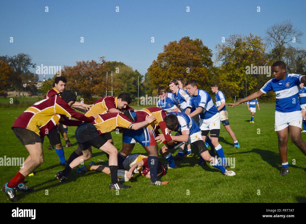 Rugby players boys hi-res stock photography and images - Alamy