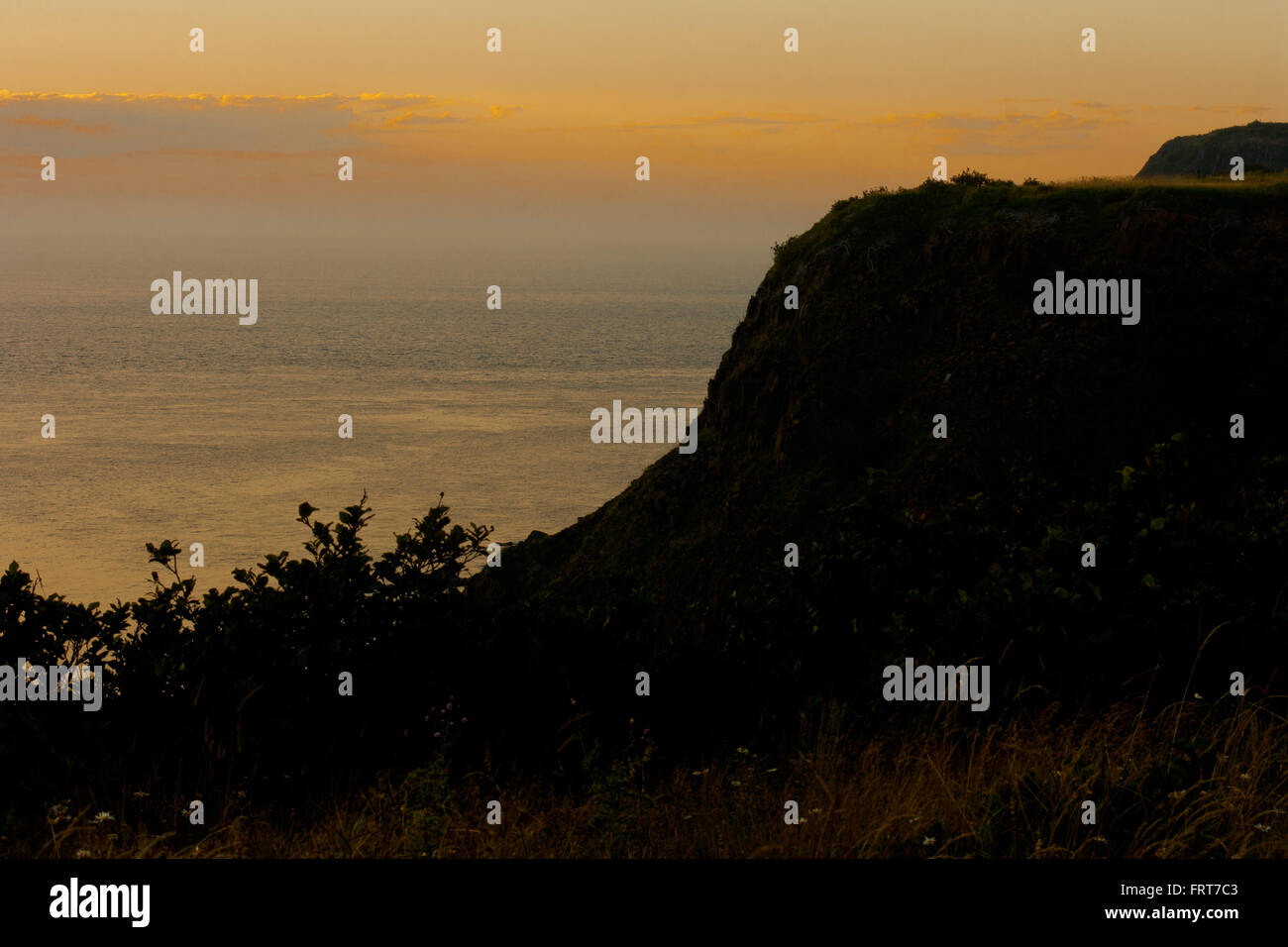 North head grand manan hi-res stock photography and images - Alamy