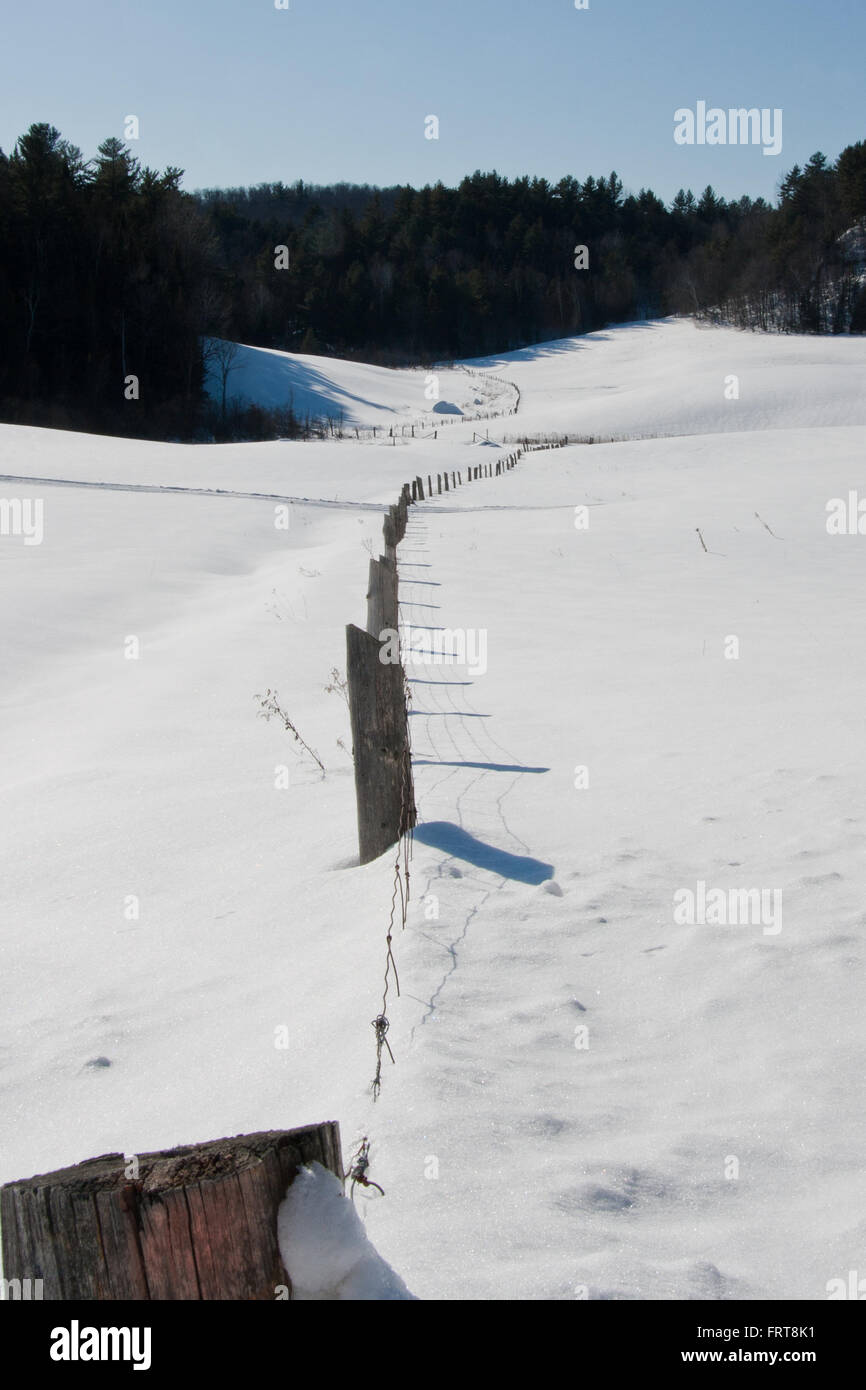Snow covered pastures divided by a long fence Stock Photo - Alamy