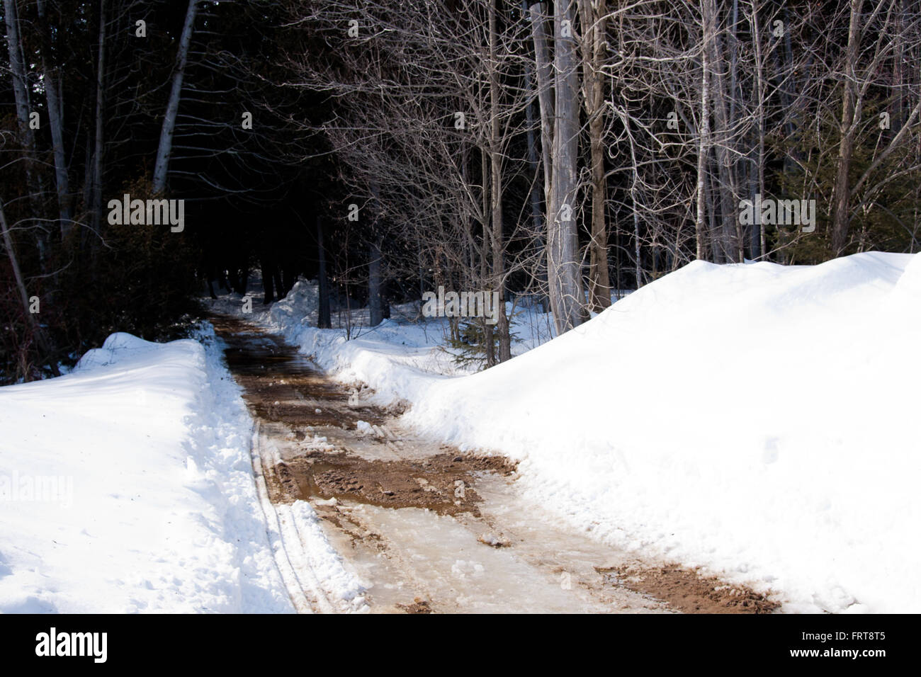 The chosen path hi-res stock photography and images - Alamy