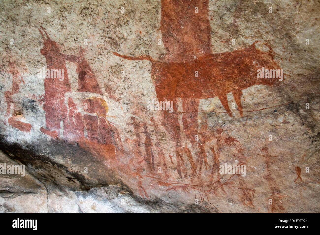 San rock art, Cederberg mountains, Western Cape, South Africa Stock ...