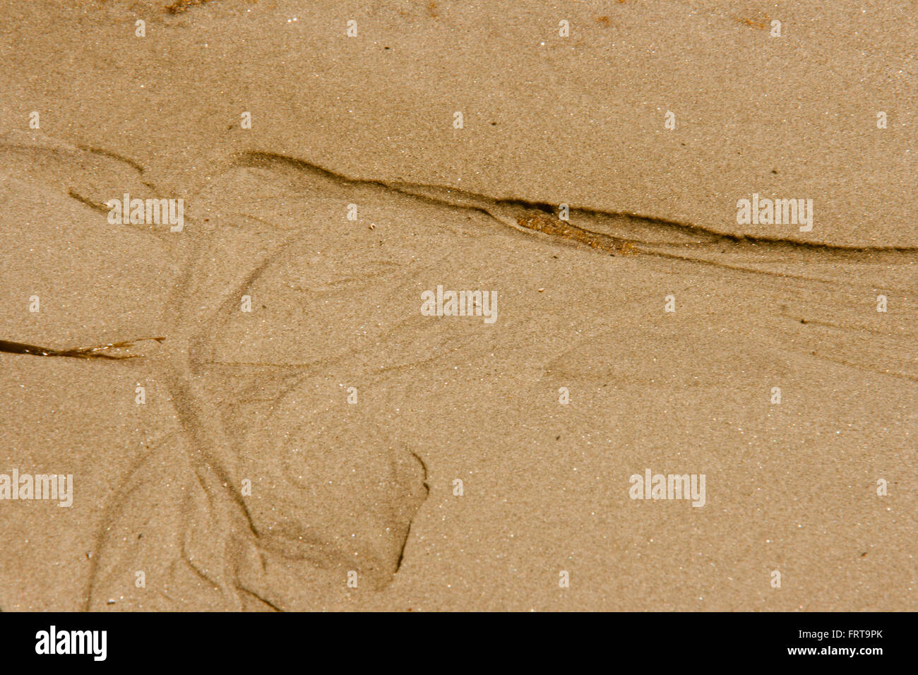 Bay of fundy background hi-res stock photography and images - Alamy