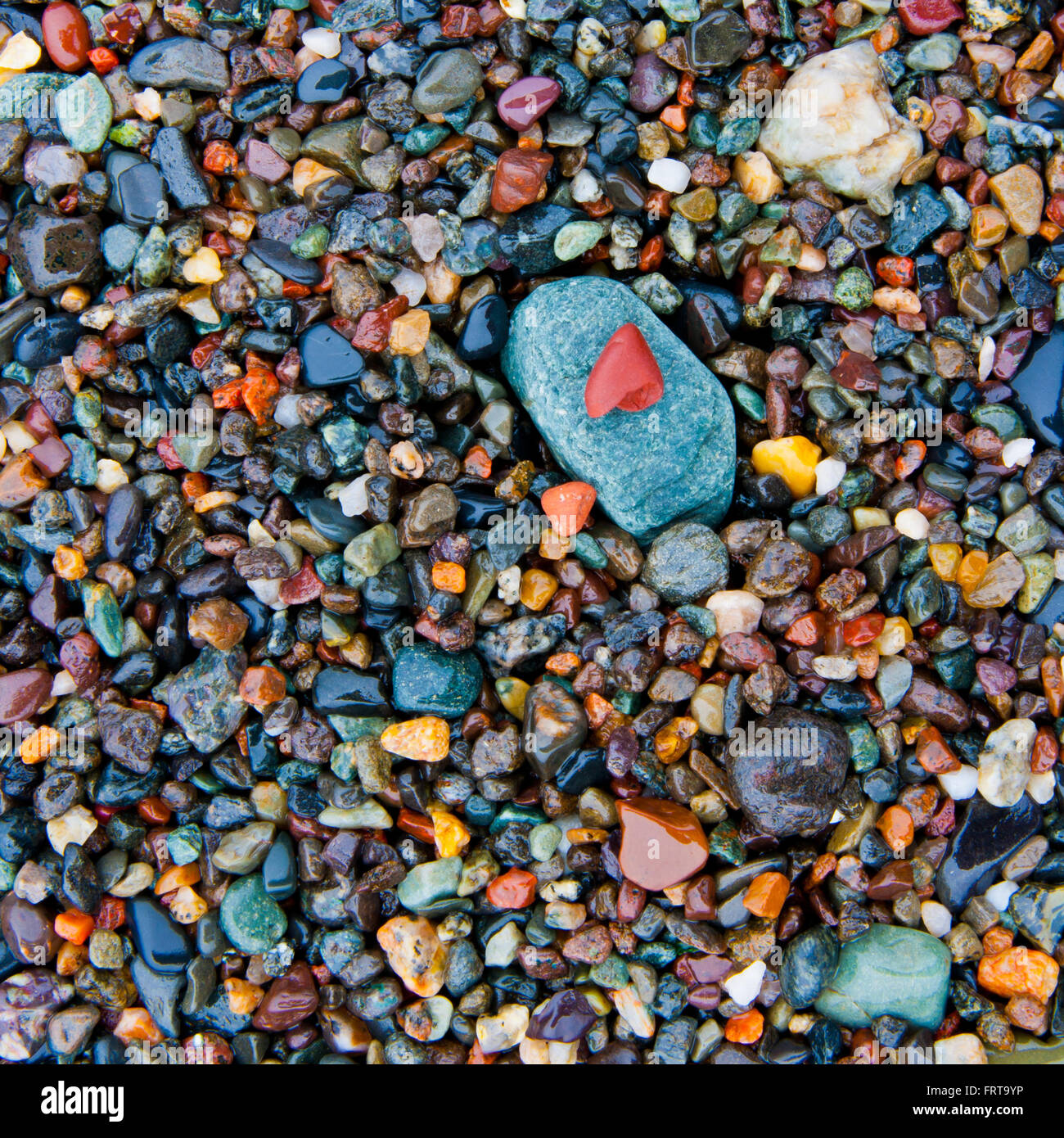 A small section of a beach covered with beautifully colored pebbles ...