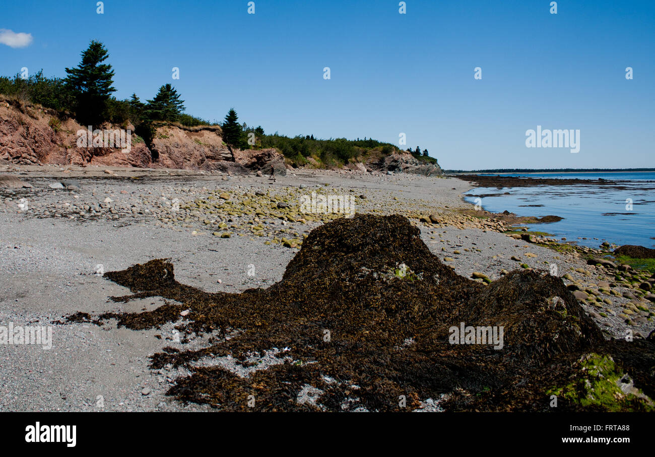 The shores of Grand Manan Island Stock Photo - Alamy