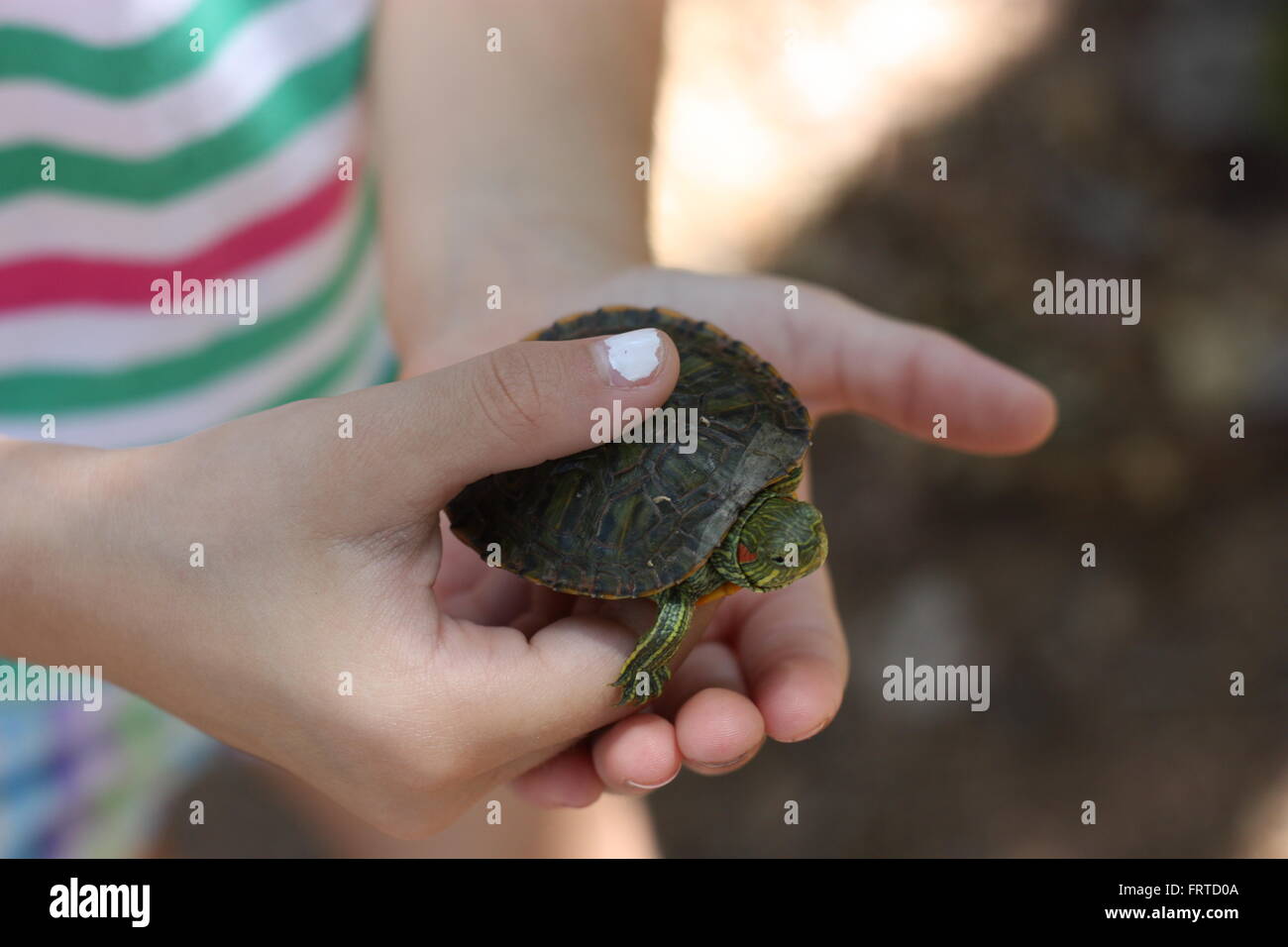 Kids and turtle hi-res stock photography and images - Alamy