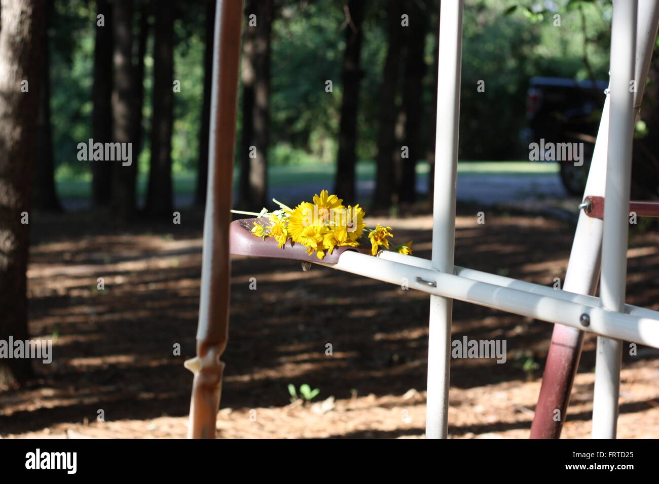 A Toddler's Bouquet Stock Photo - Alamy
