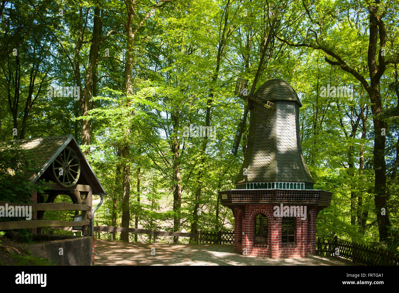 Märchenwald hi-res stock photography and images - Alamy