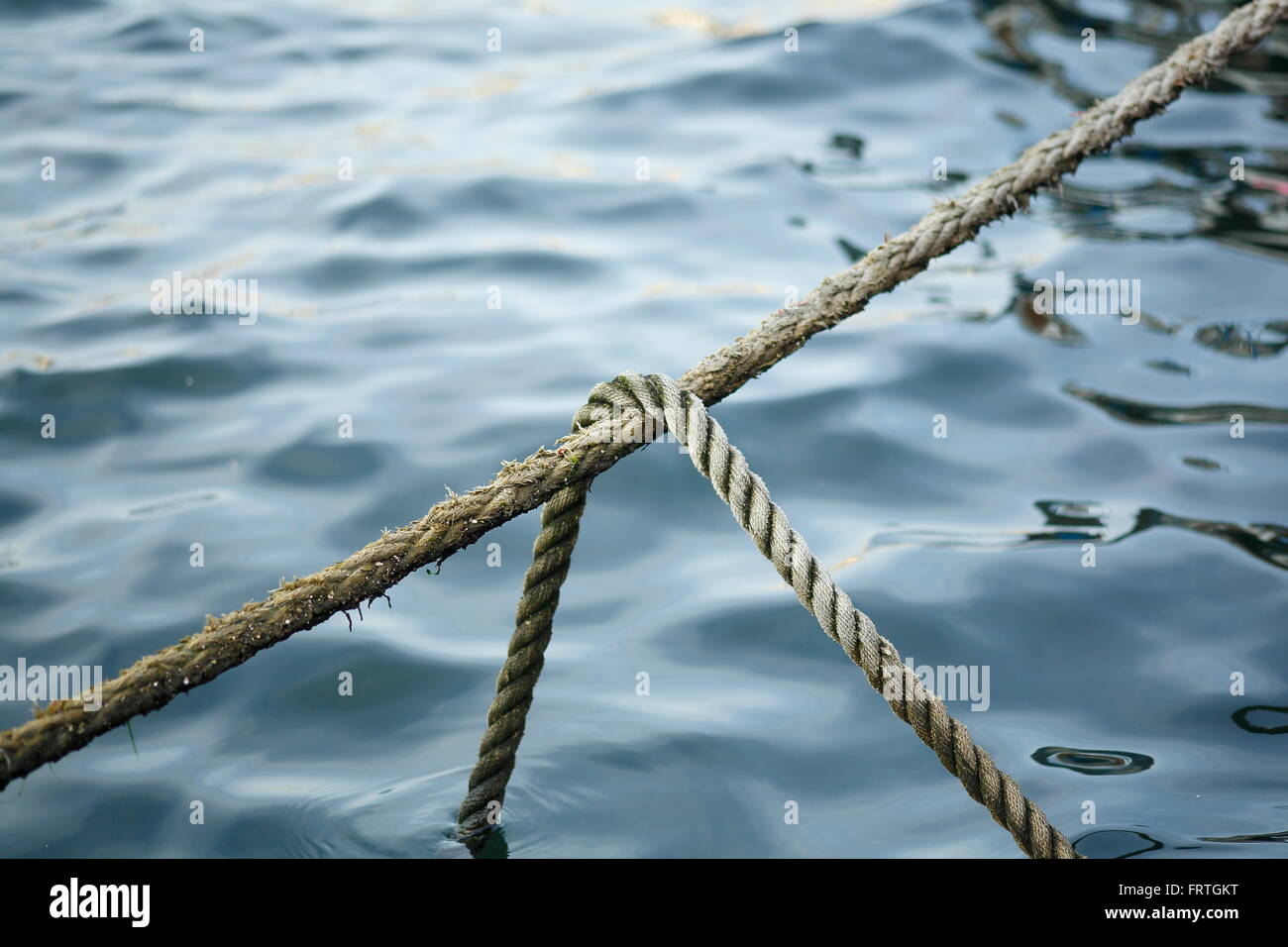 Sea rope hi-res stock photography and images - Alamy