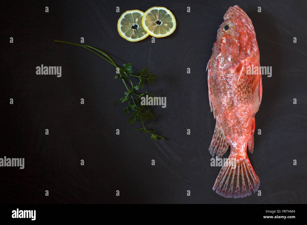 Scorfano fish hi-res stock photography and images - Alamy