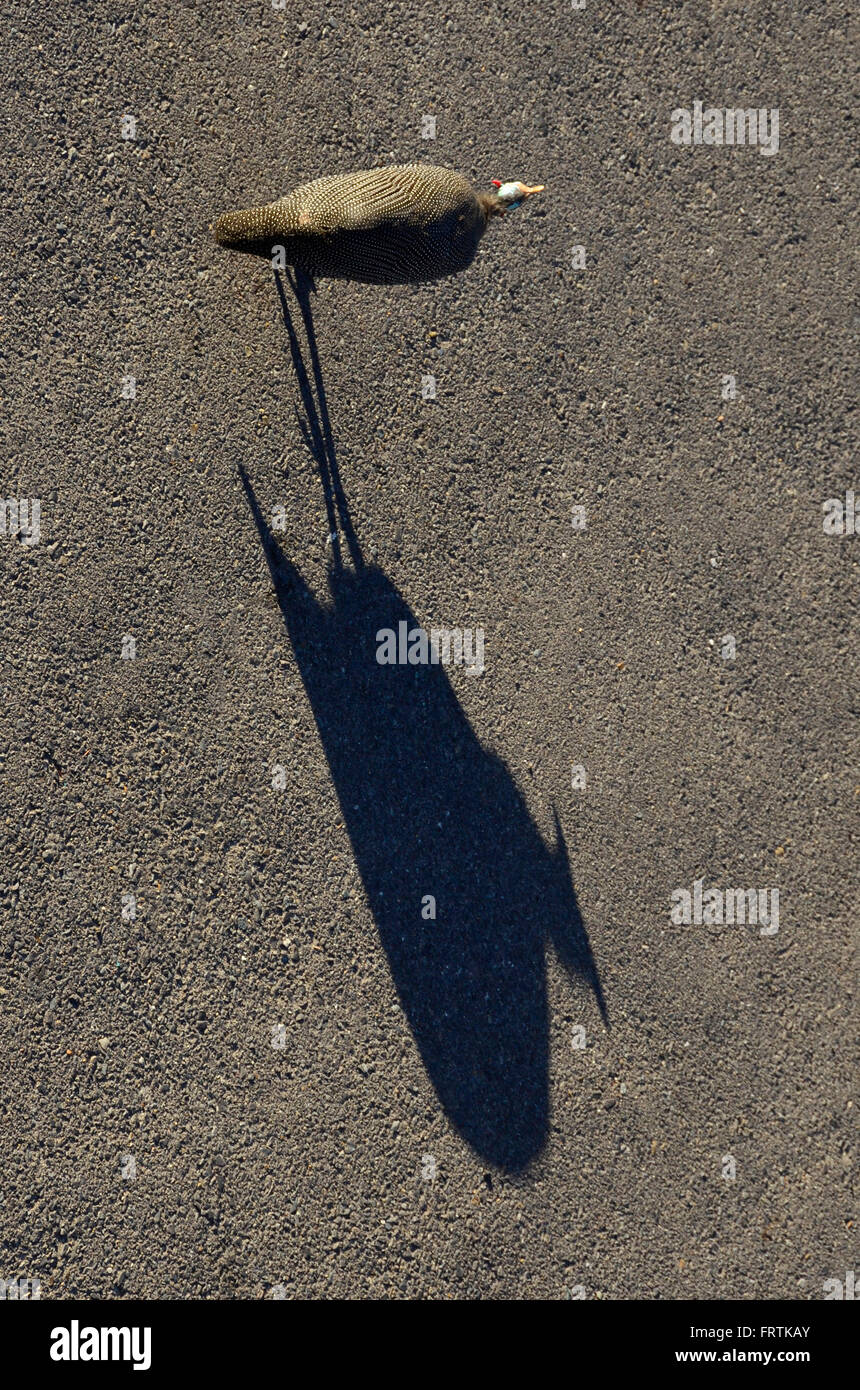 Neck shadows hi-res stock photography and images - Alamy