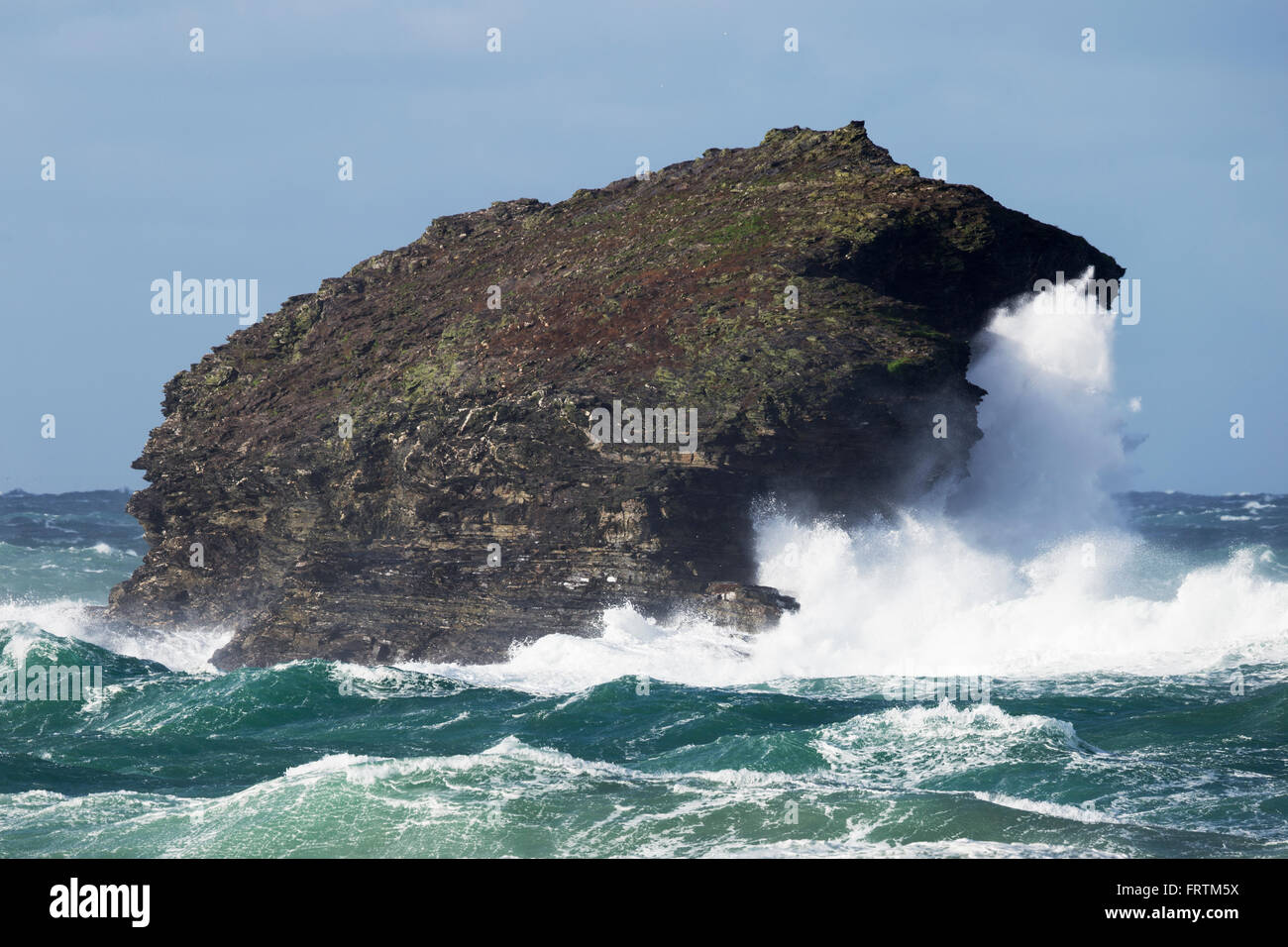 Gull rock cornwall hi-res stock photography and images - Alamy
