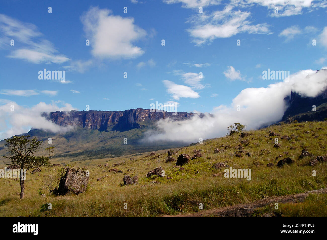 Mount Roraima - Venezuela Stock Photo - Alamy