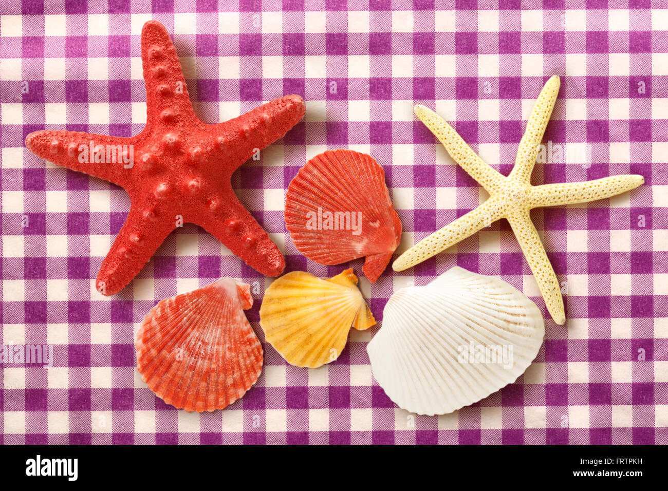 Collection of sea shells and stars in closeup Stock Photo - Alamy
