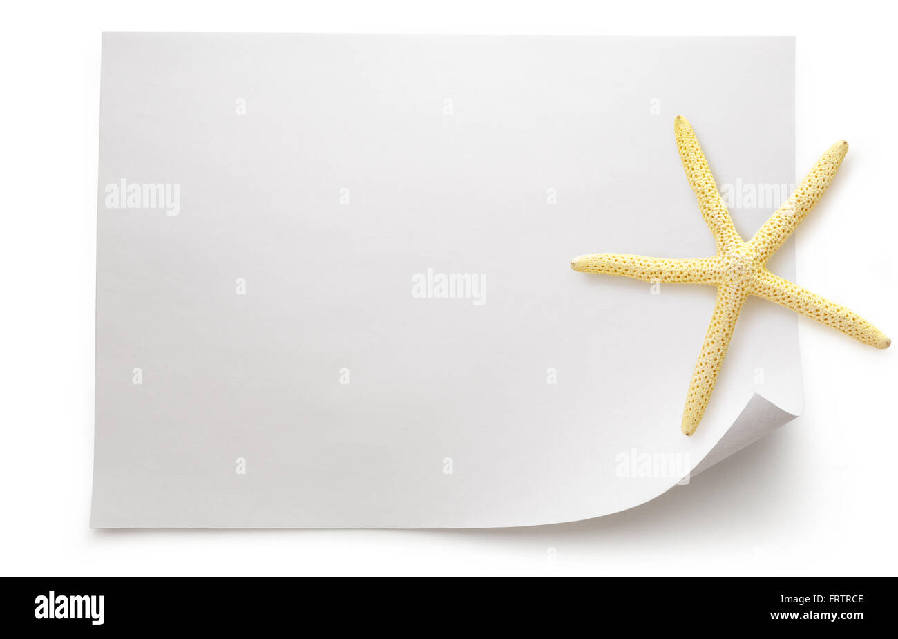 Blank sheet of paper with sea star on white background Stock Photo - Alamy