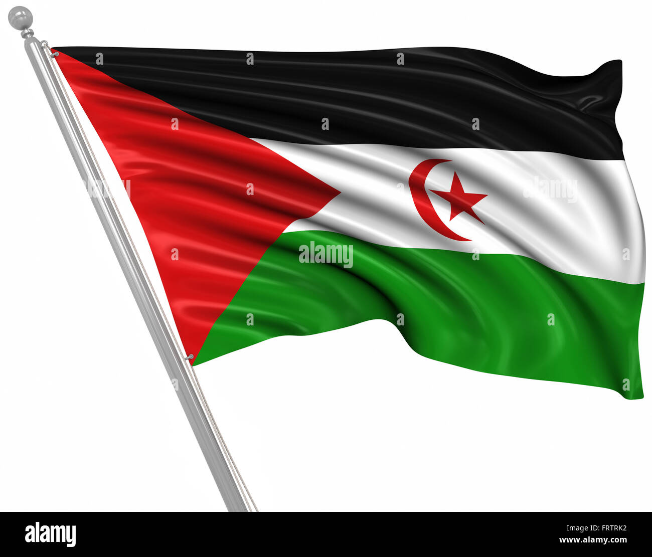 Flag of the Sahrawi Arab Democratic Republic , This is a computer ...