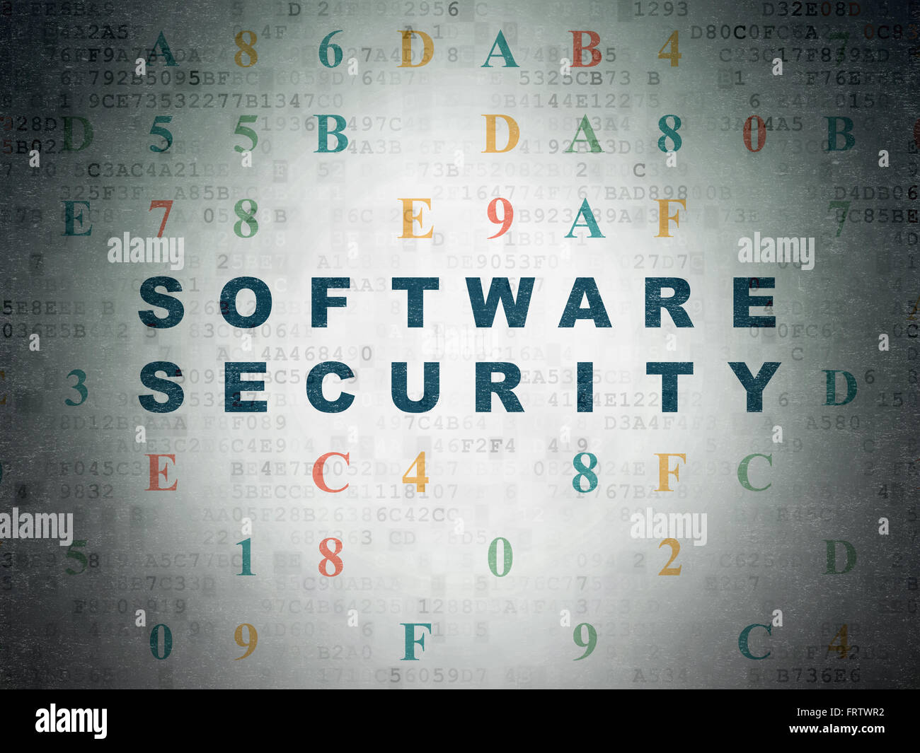 Privacy concept: Painted blue text Software Security on Digital Paper background with ...