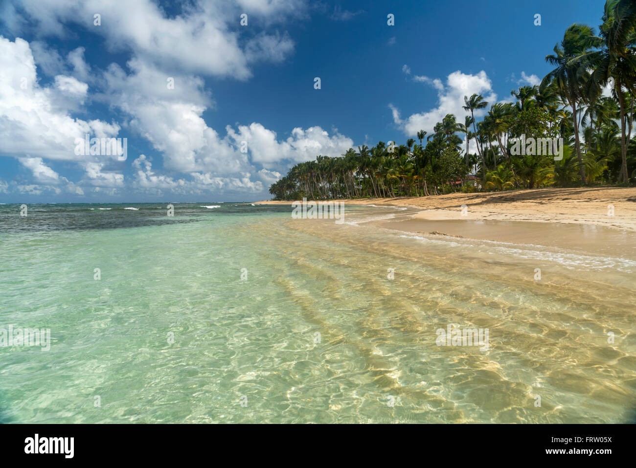 Dominican Republic, Peninsula Samana, Beach of Las Terrenas Stock Photo ...