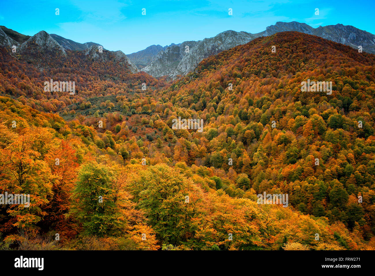 Natural park of redes hi-res stock photography and images - Alamy