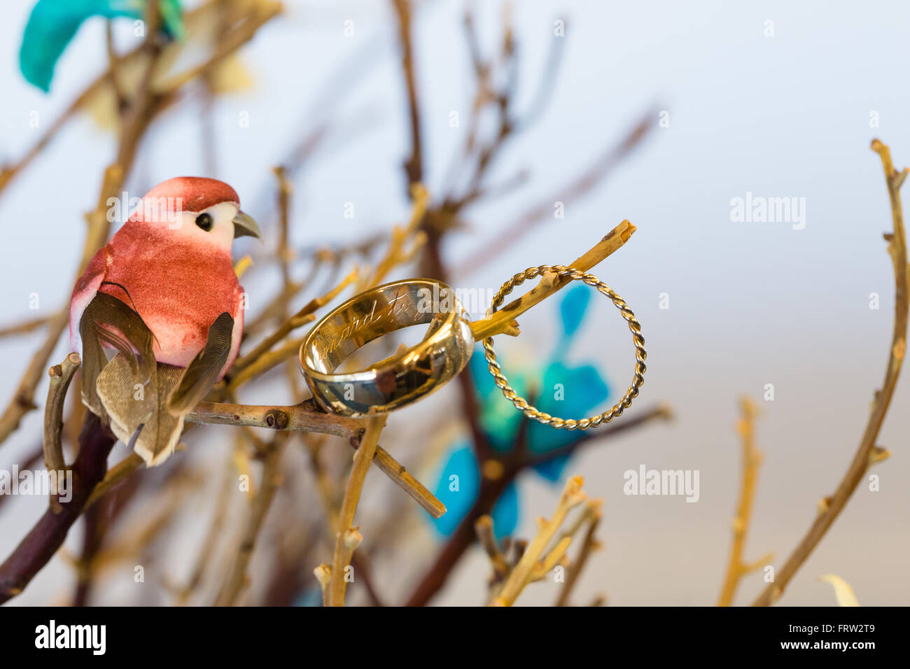 Wedding Love Birds Theme