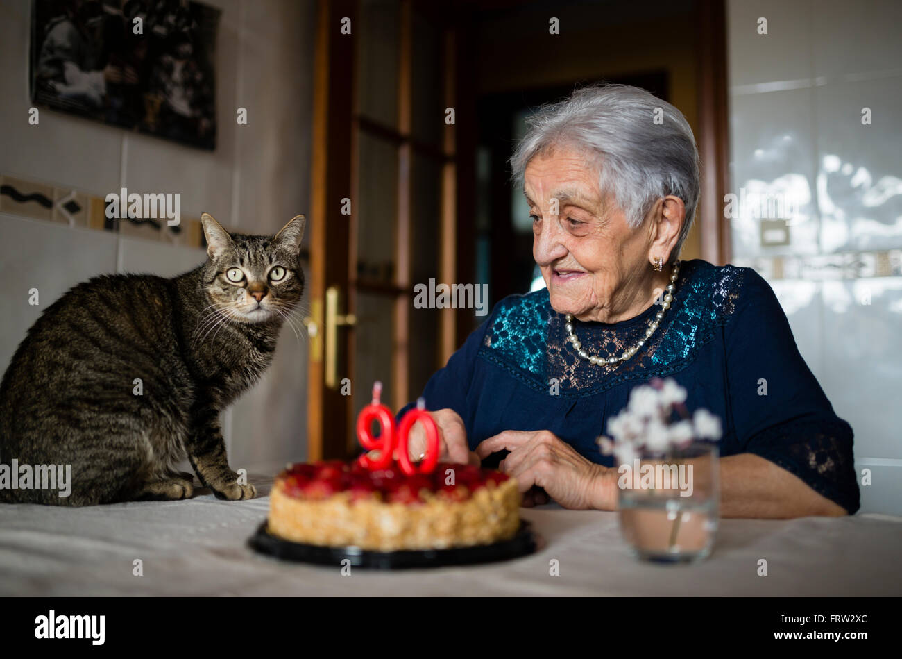 Cat celebrating birthday hi-res stock photography and images - Alamy