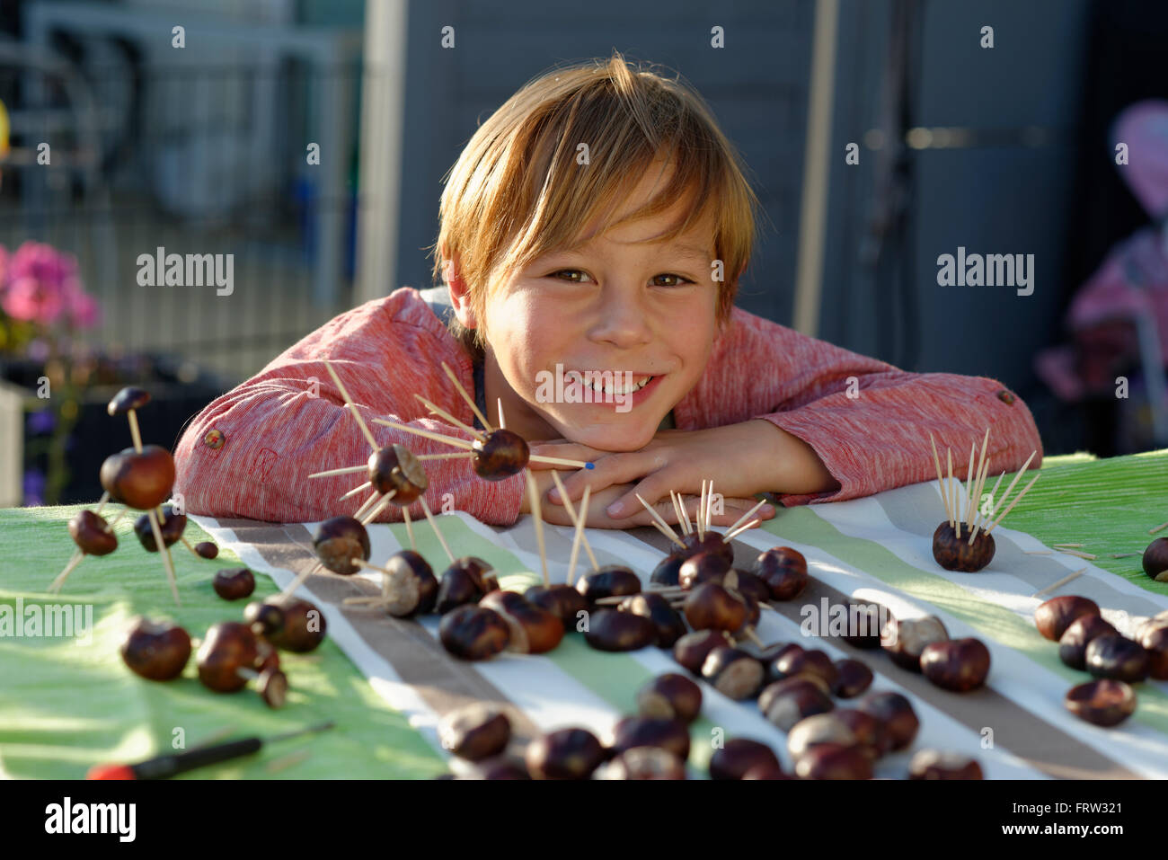 Portrait of happy little boy with tinkered chestnut figurines Stock ...