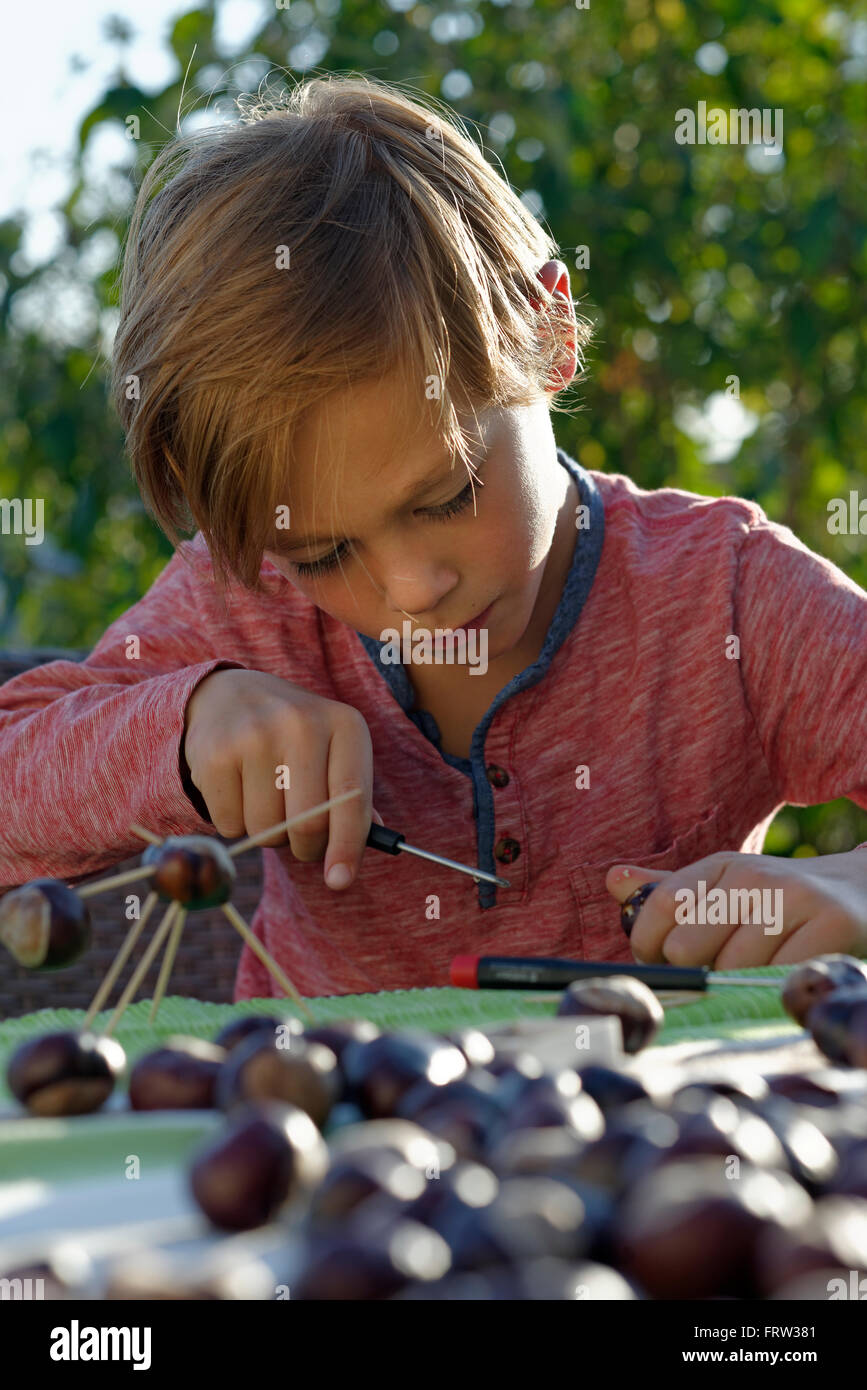 Little boy tinkering chestnut figurines Stock Photo - Alamy